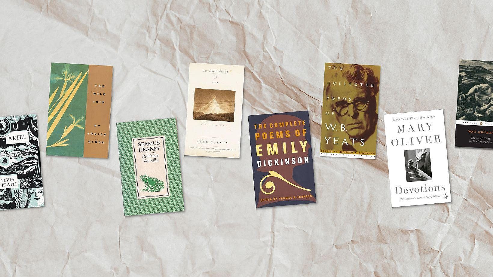 The best poetry books to make you love the genre